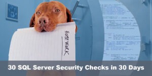 SQL Server Consulting by Straight Path Solutions